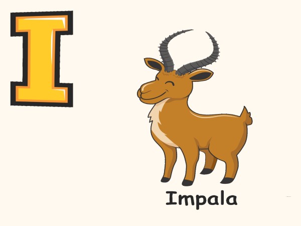 SaiBook.us SBEWordVocabulary